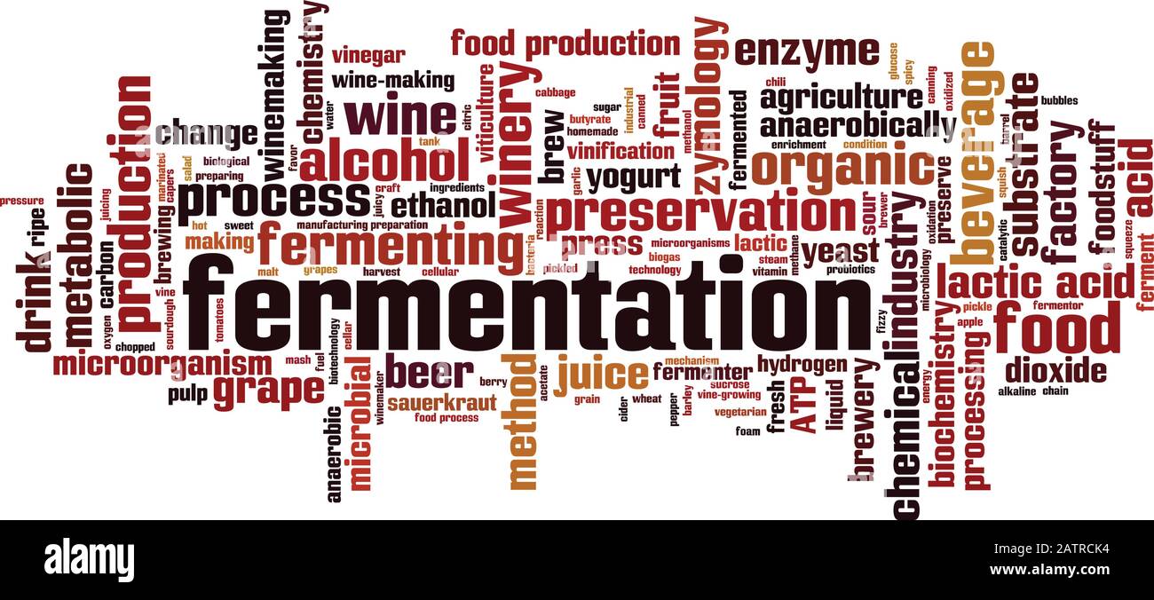 Fermentation word cloud concept. Collage made of words about ...