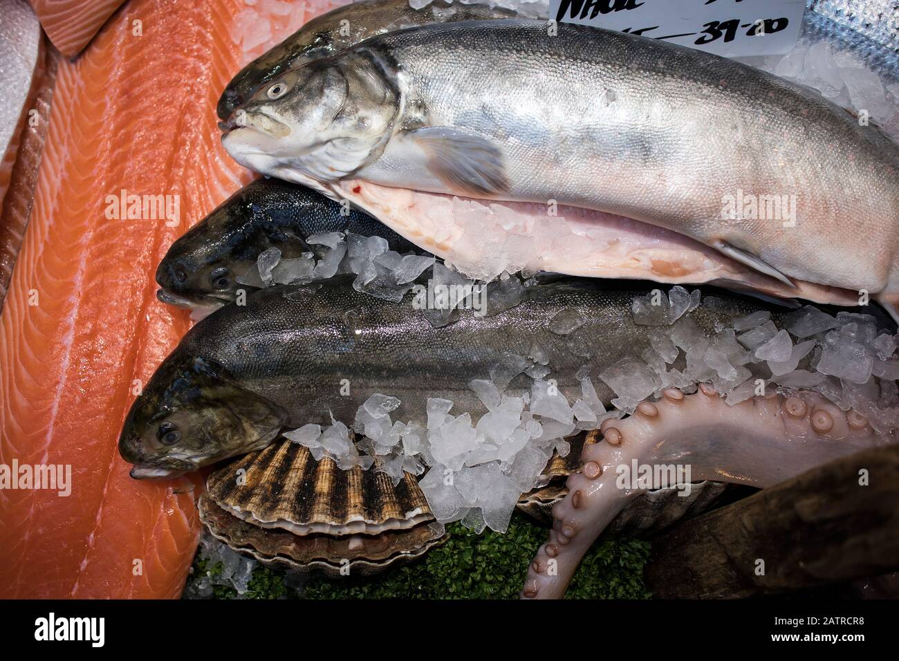 Fresh fish on ice. Sale of fresh frozen fish on farmer's bazaar. Open ...