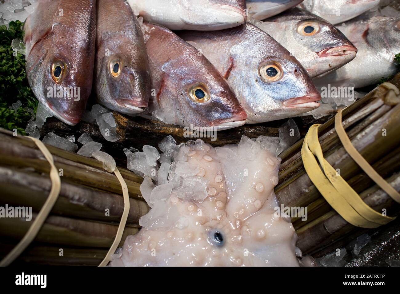 Fresh fish on ice. Sale of fresh frozen fish on farmer's bazaar. Open ...
