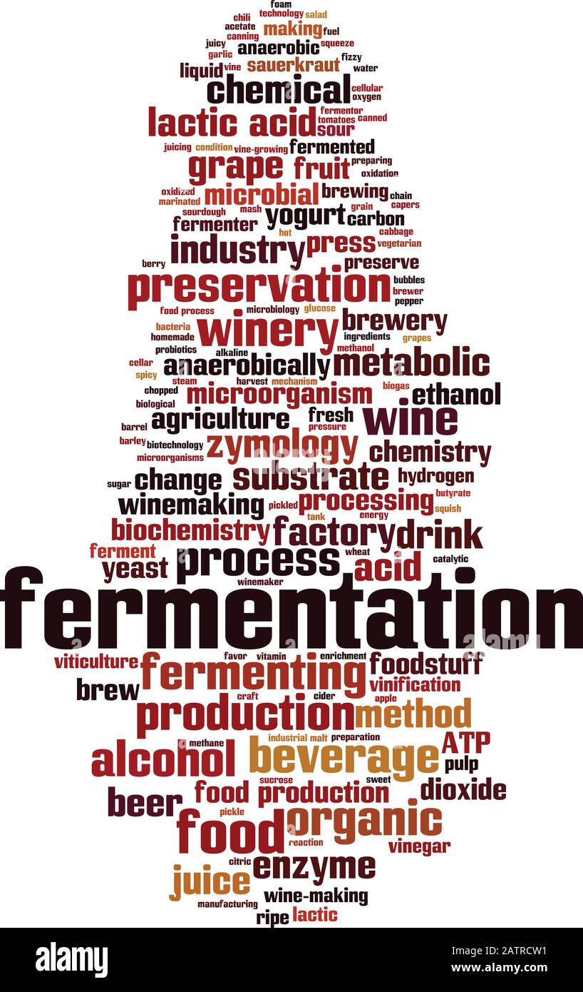 Fermentation word cloud concept. Collage made of words about ...