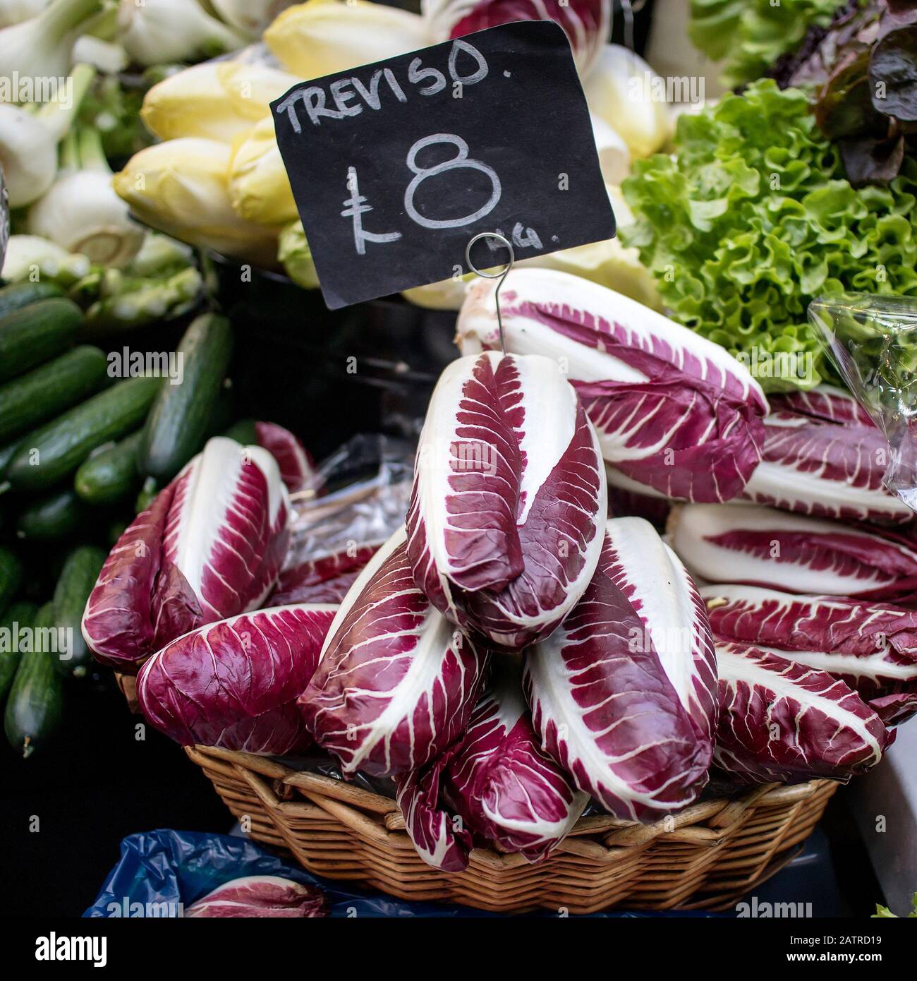 Radicchio rosso di Treviso, commonly known as Treviso has elongated ...
