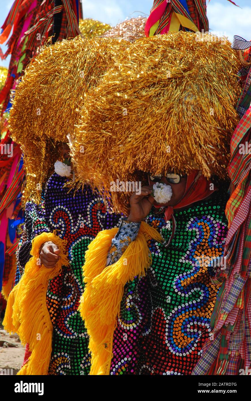 Maracatu hi-res stock photography and images - Alamy