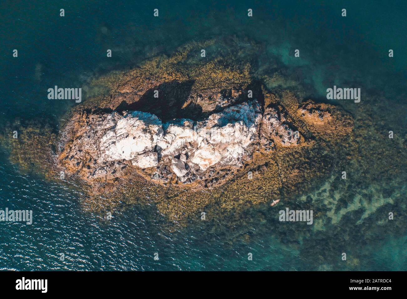 Islets, island in Choyudo beach. stable land area full of guano. Islet ...
