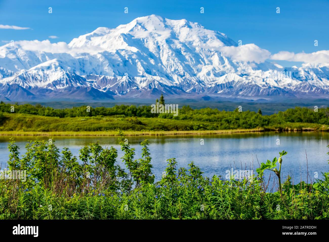 Denali national park hi-res stock photography and images - Alamy