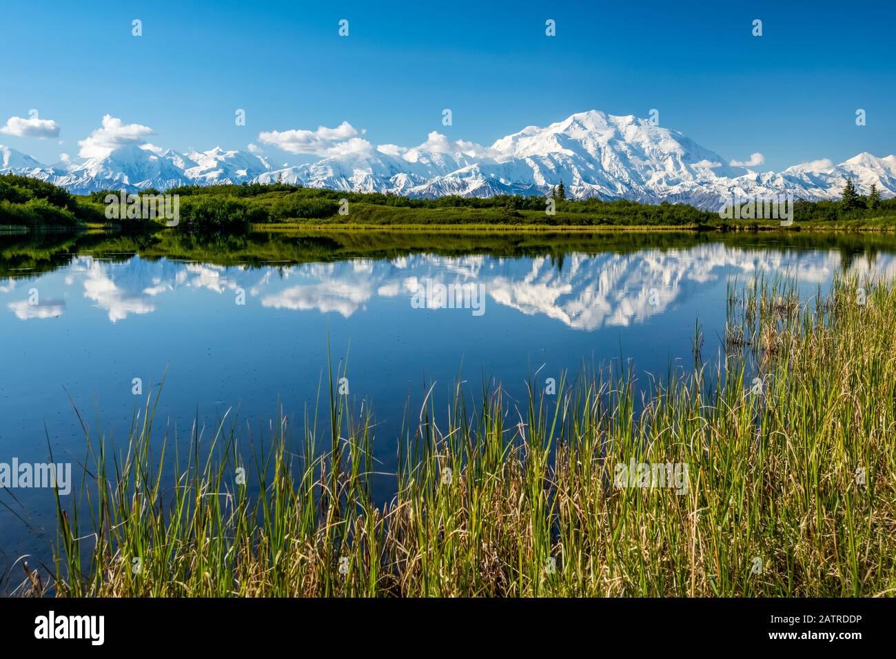 View of Denali and it's reflection in Reflection Pond taken from the ...