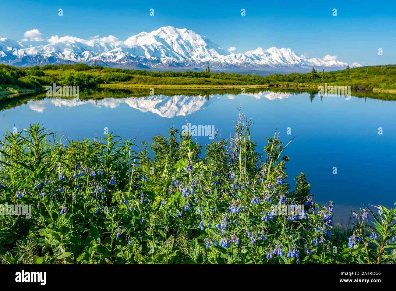 View of Denali and it's reflection in Reflection Pond taken from the ...