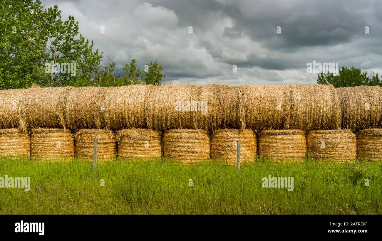 Piled hay bales; Alberta, Canada Stock Photo - Alamy