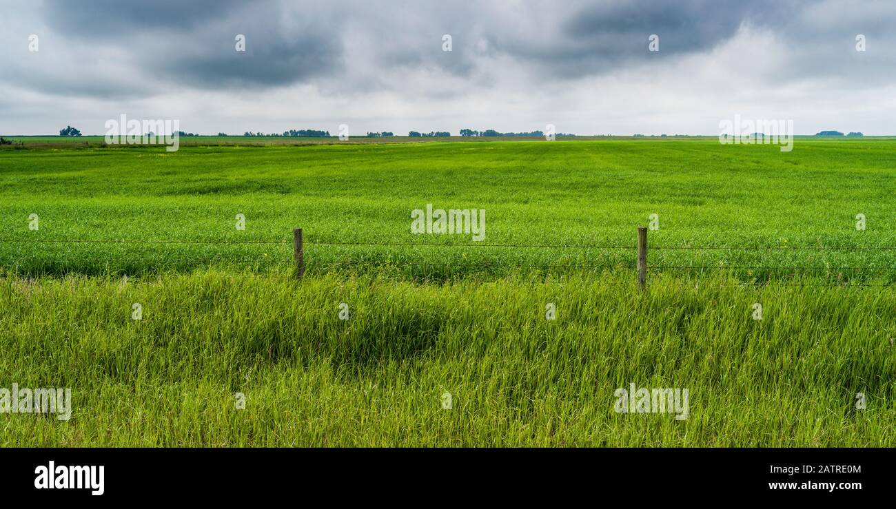 Green fields with farmland hi-res stock photography and images - Alamy