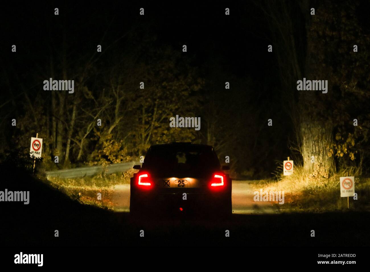 The rallye car is driving in the dark fast on the tarmac roads during ...