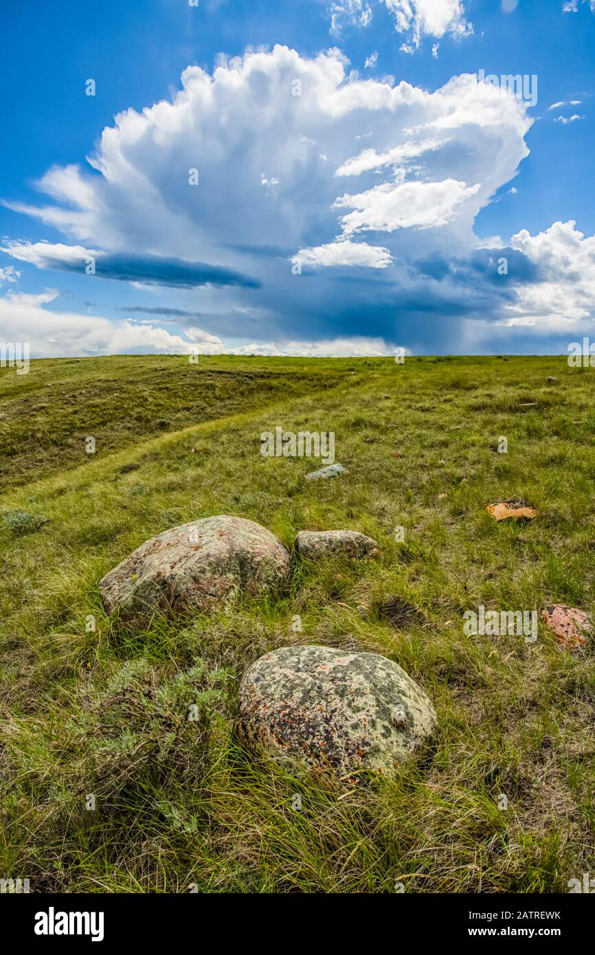 Vast landscape stretching to the horizon in Grasslands National Park ...