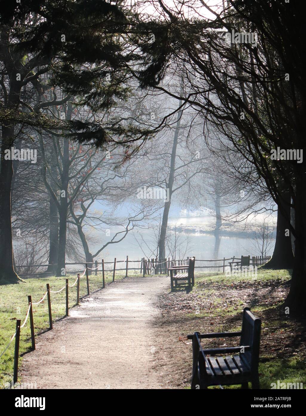 Outdoor tree benches hi-res stock photography and images - Alamy