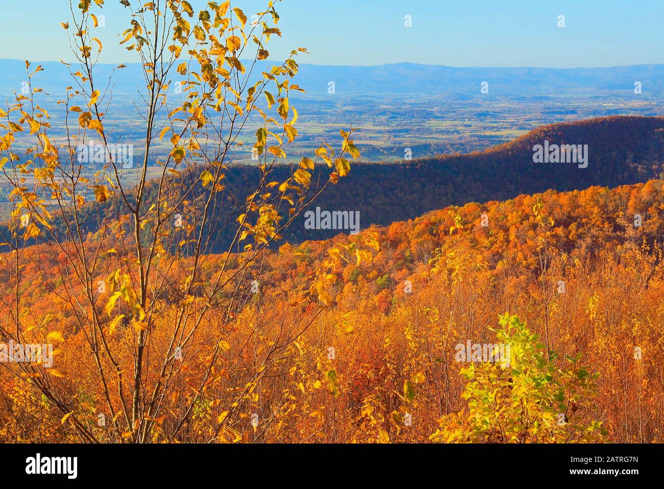Crimora Overlook, Shenandoah National Park, Virginia, USA Stock Photo ...