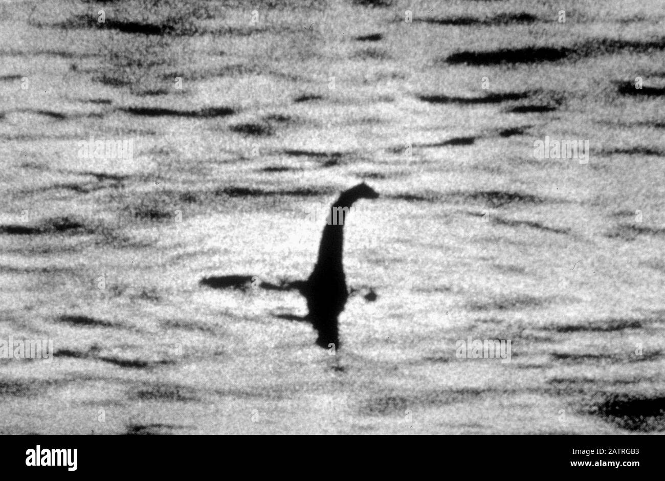 THE LOCH NESS MONSTER Stock Photo - Alamy