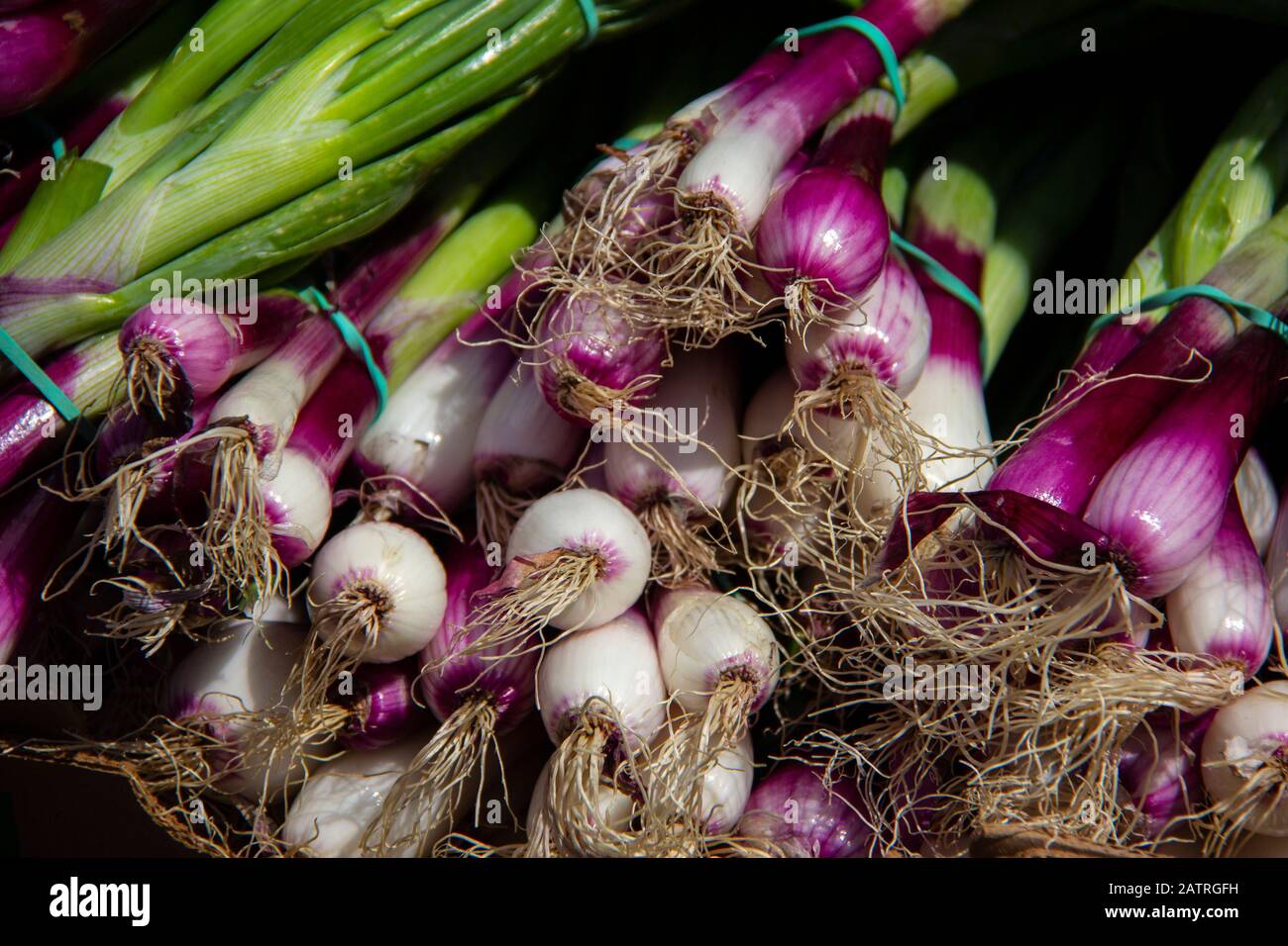 Open market farmer hi-res stock photography and images - Alamy