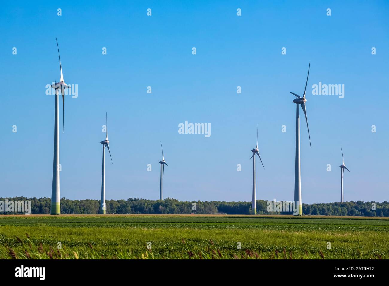 Wind turbines on farmland with a farm field in the foreground; Saint ...