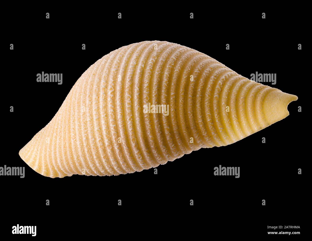 Macro photo of conchiglie pasta shell isolated on black background ...