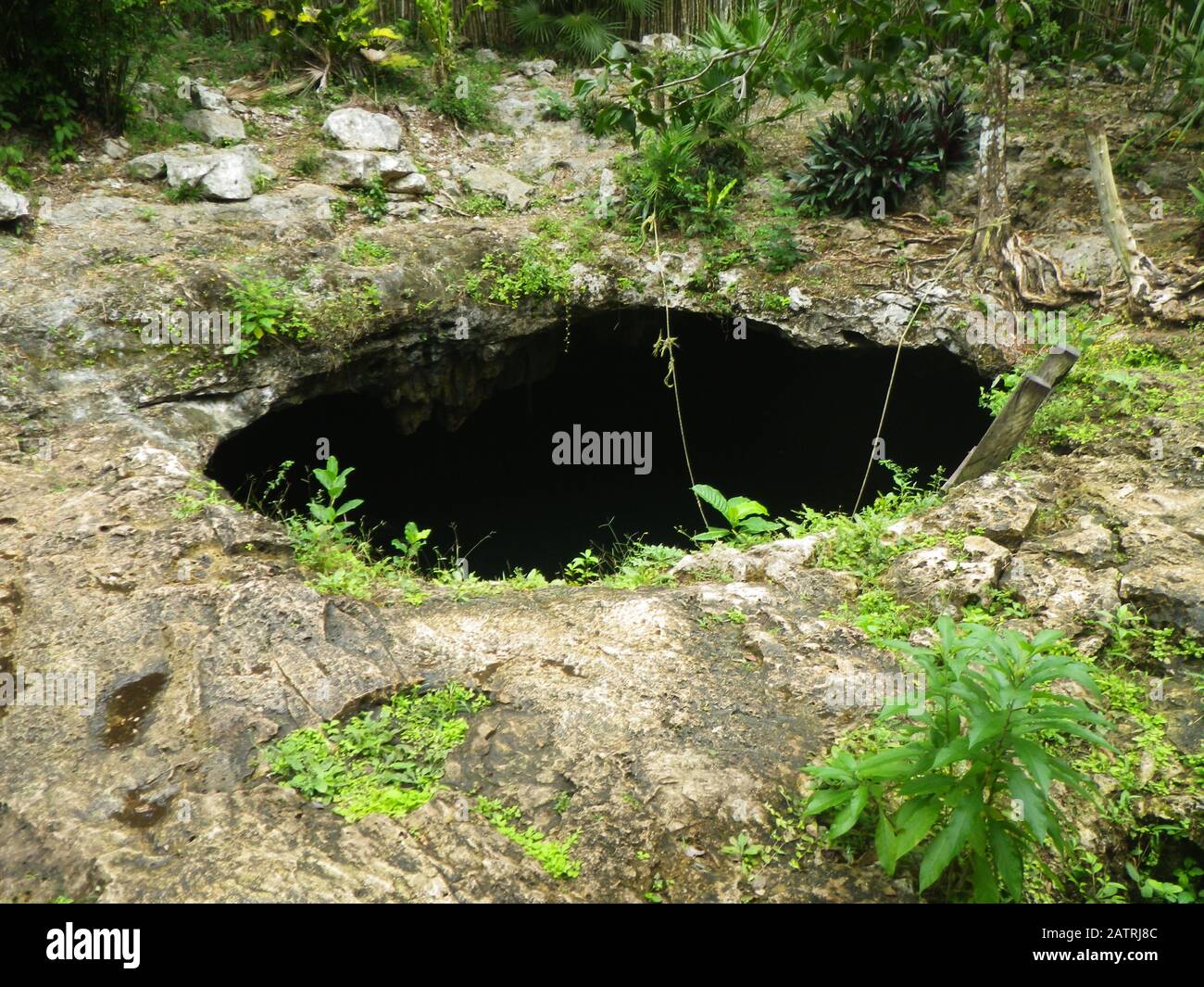 Calavera hi-res stock photography and images - Alamy