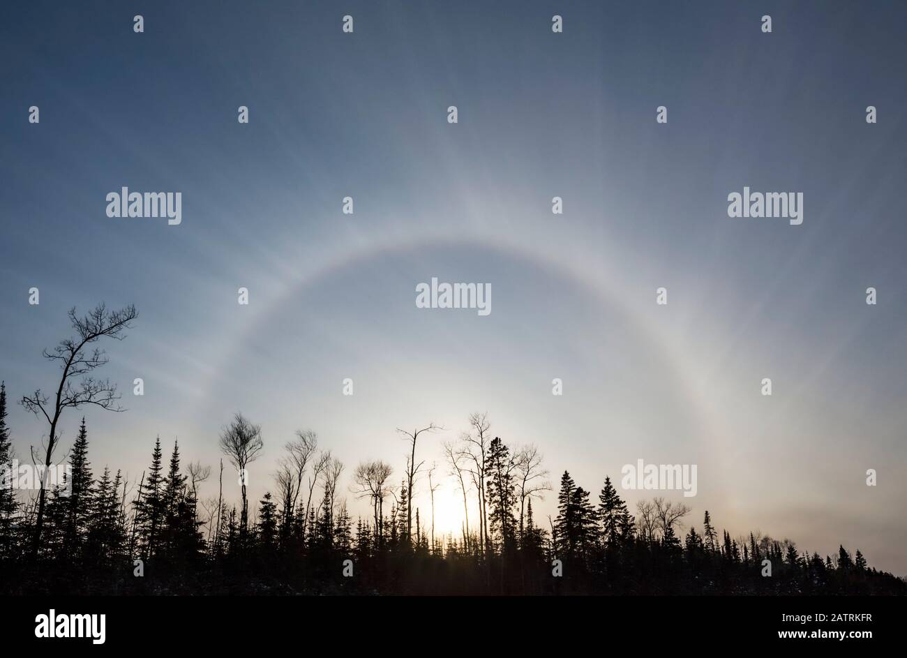 Sun halo in blue sky over silhouetted trees; Sault St. Marie, Michigan ...