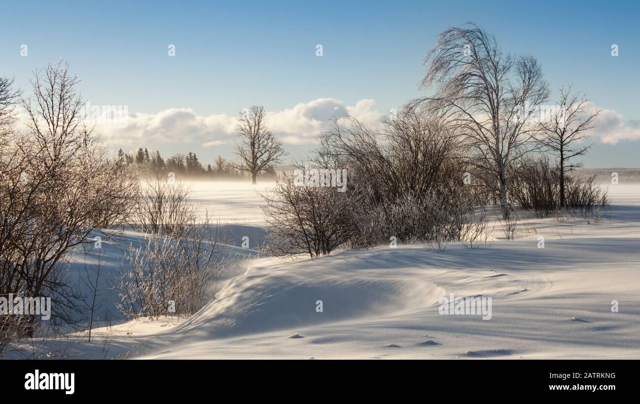 Blue ice field hi-res stock photography and images - Alamy