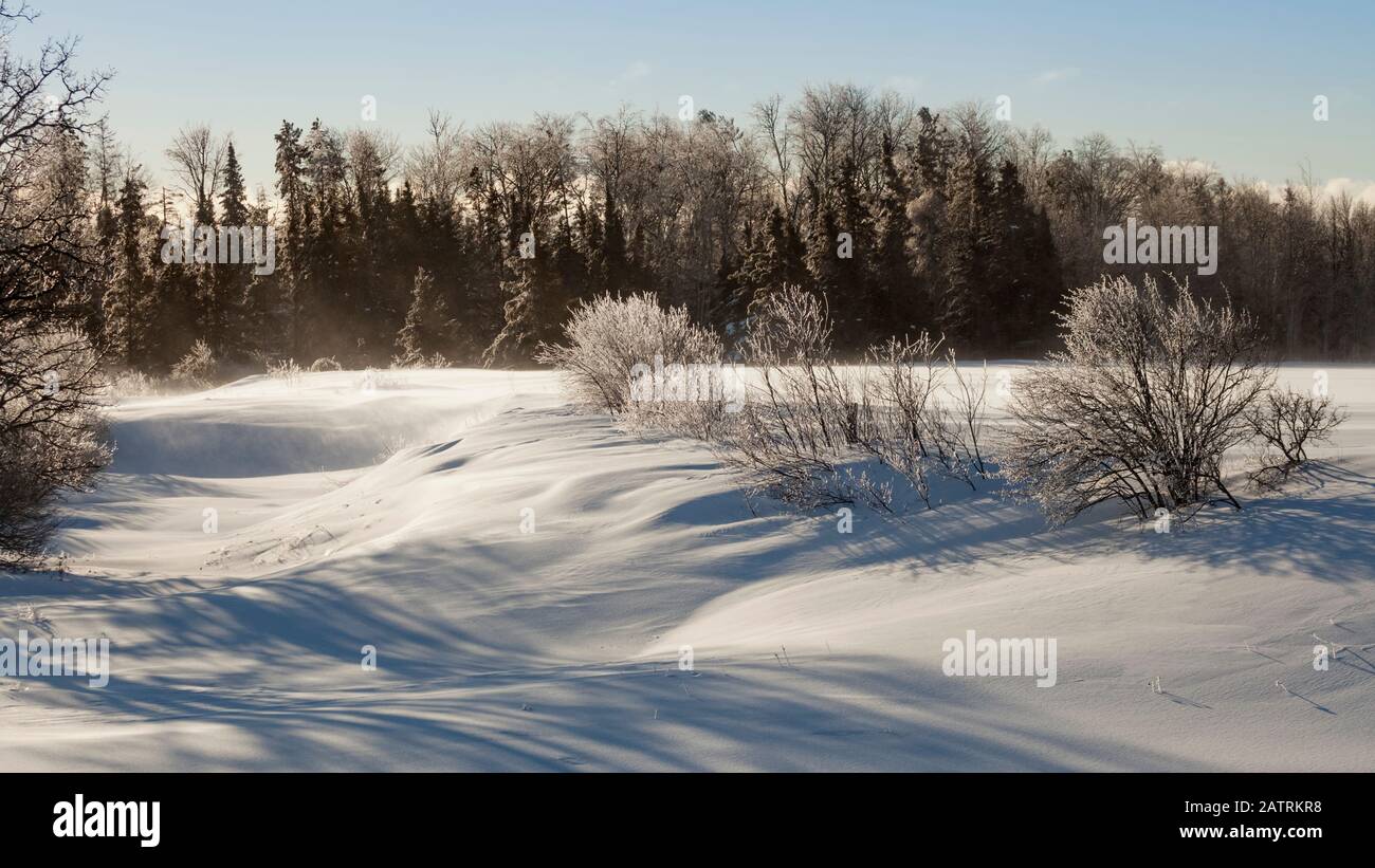 Winter landscape with snowy fields, shadows and blue sky; Sault St ...