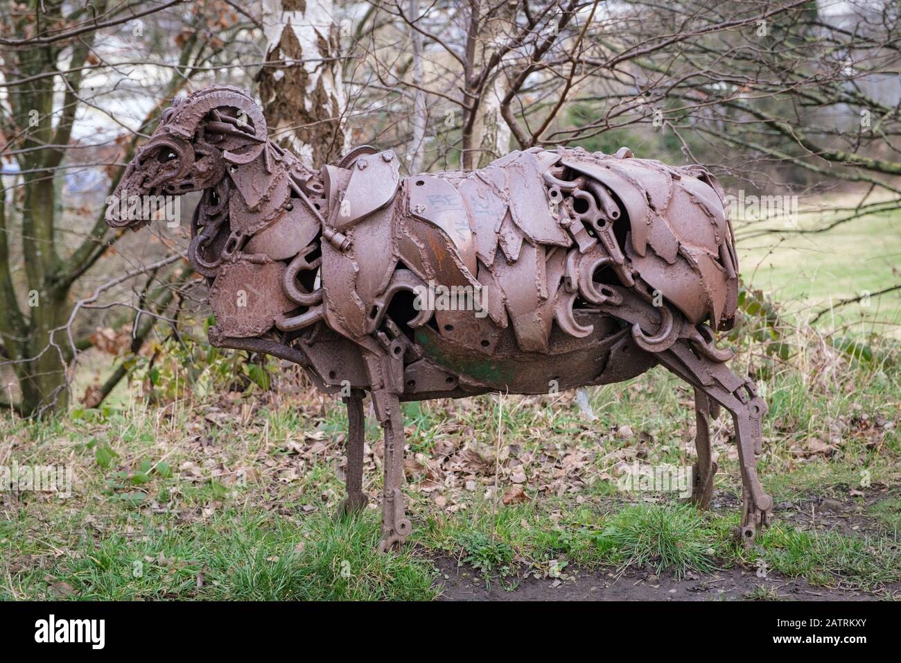 Sally Matthew’s flock of Swaledale Sheep constructed from recycled ...