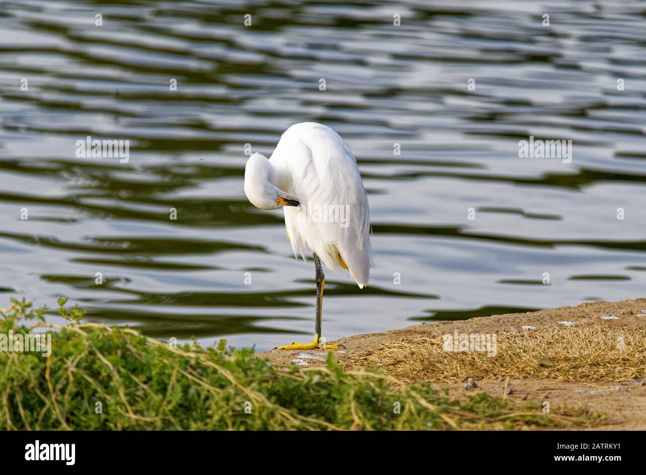 Balboa landing hi-res stock photography and images - Alamy