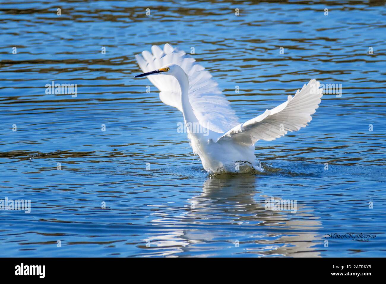 Balboa landing hi-res stock photography and images - Alamy