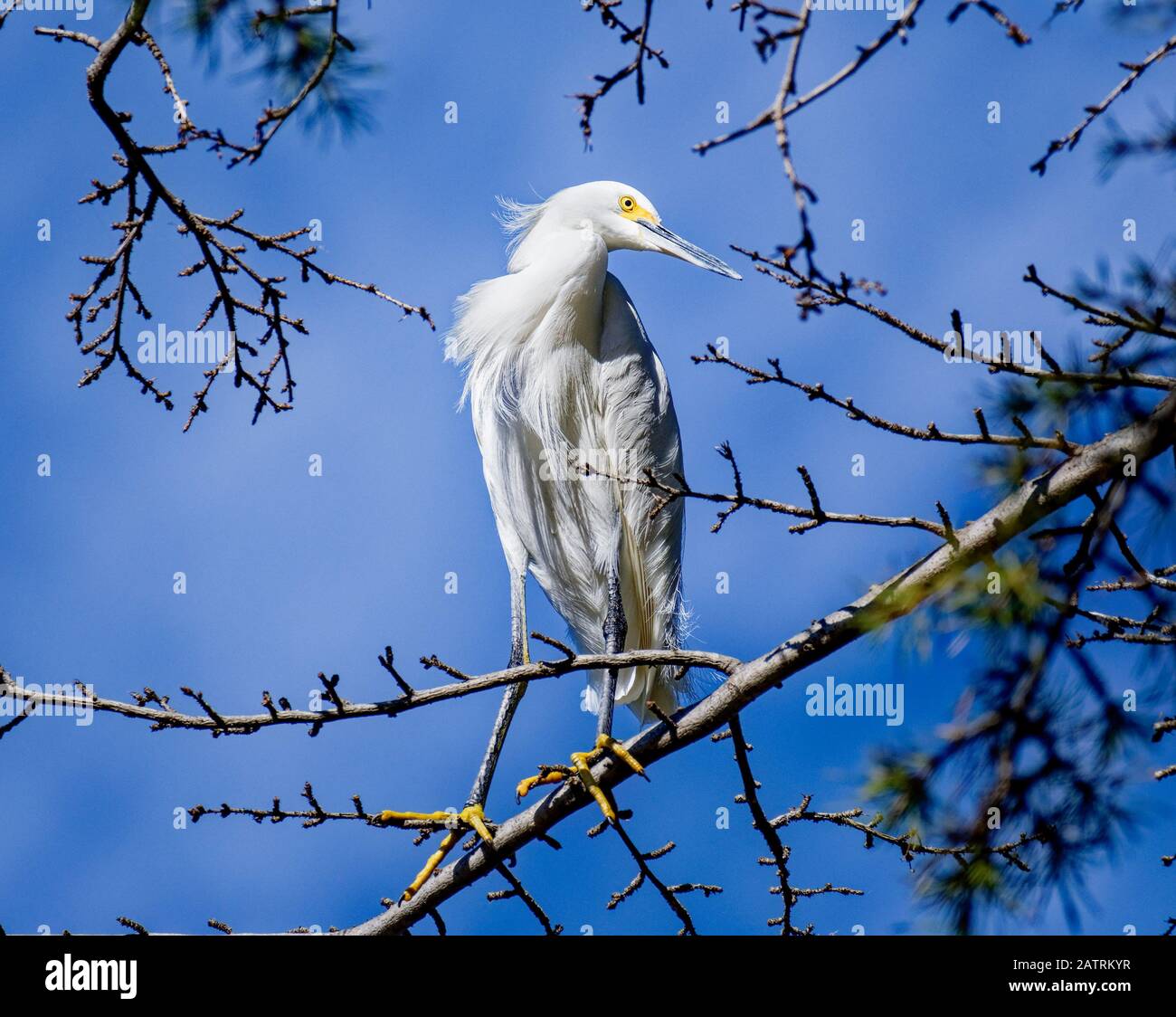 Balboa landing hi-res stock photography and images - Alamy