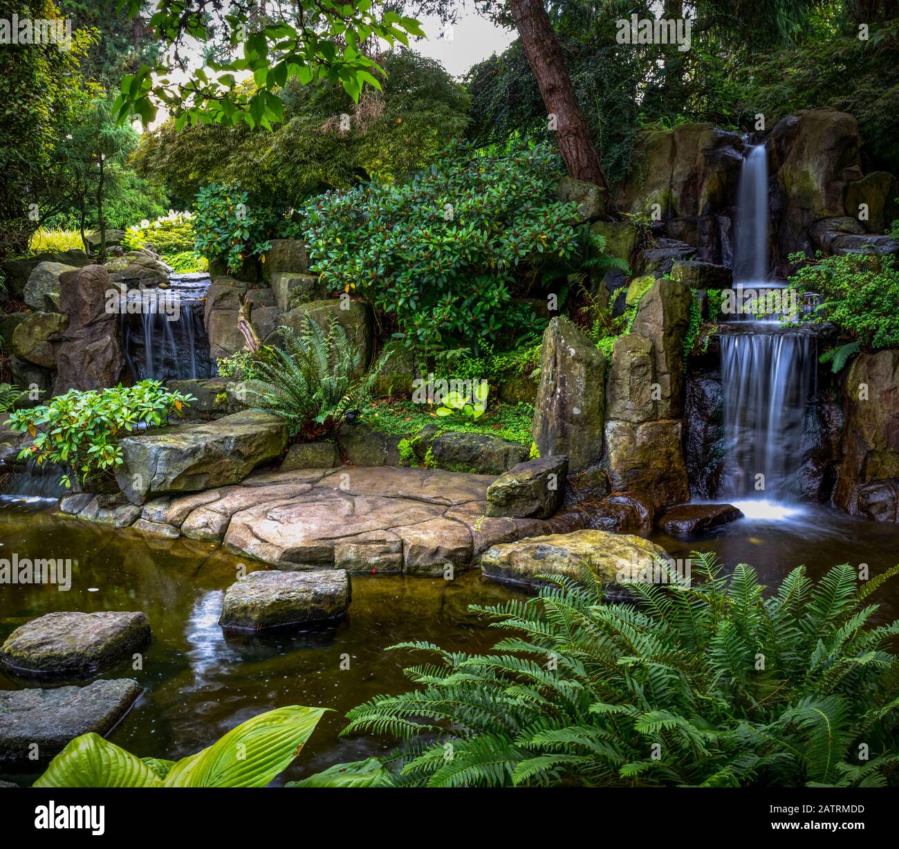 Waterfalls and lush foliage in a landscaped residential yard; Surrey ...