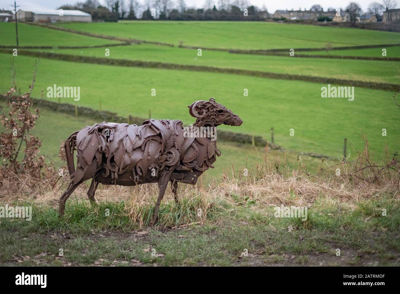 Sally Matthew’s flock of Swaledale Sheep constructed from recycled ...