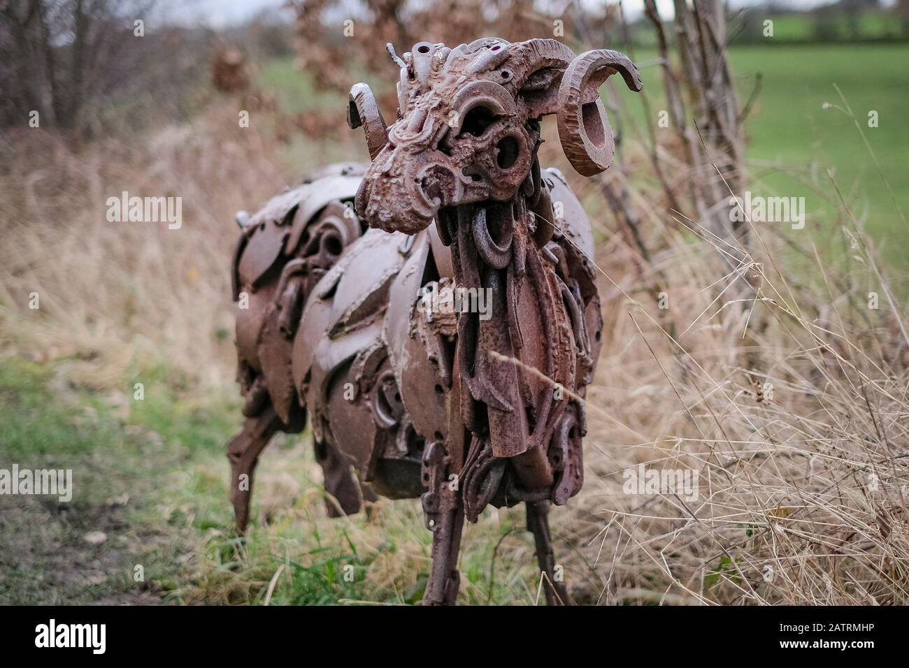 Sally Matthew’s flock of Swaledale Sheep constructed from recycled ...