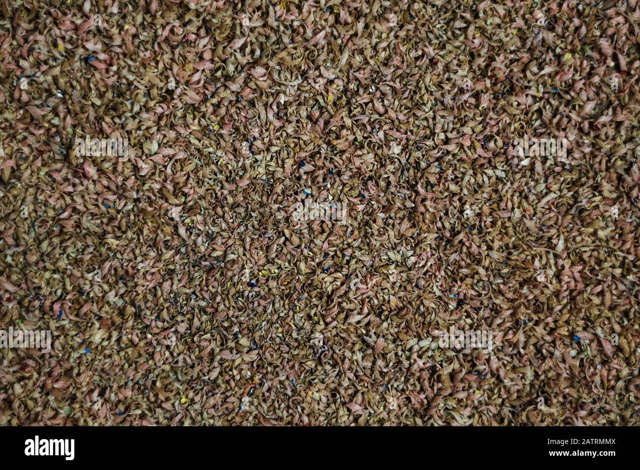 Watercolor pencil hi-res stock photography and images - Alamy