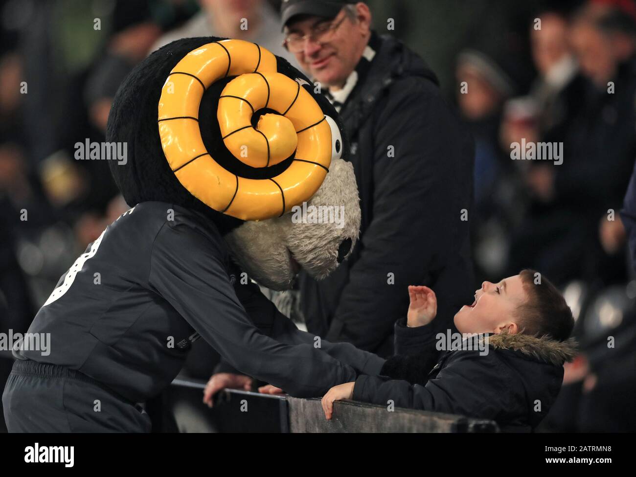 Derby county mascot rammie the ram hi-res stock photography and images ...