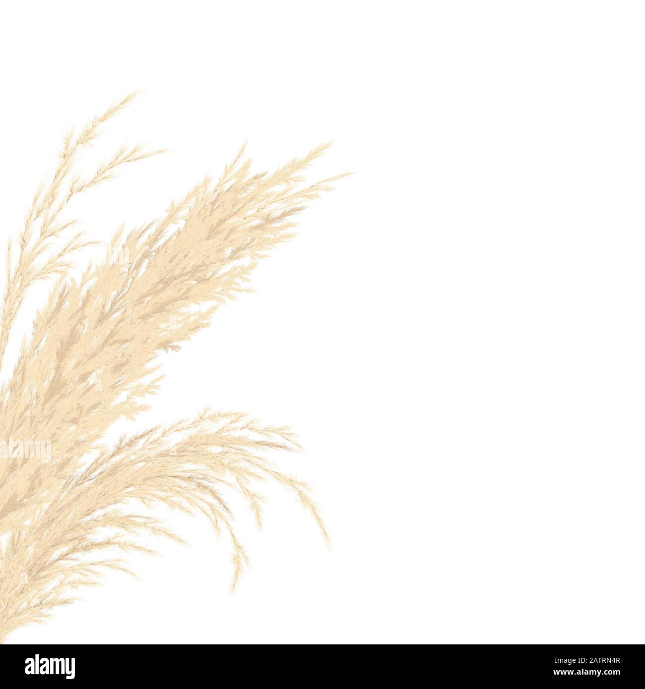 Silver golden Pampas grass Card template frame on the left with copy ...