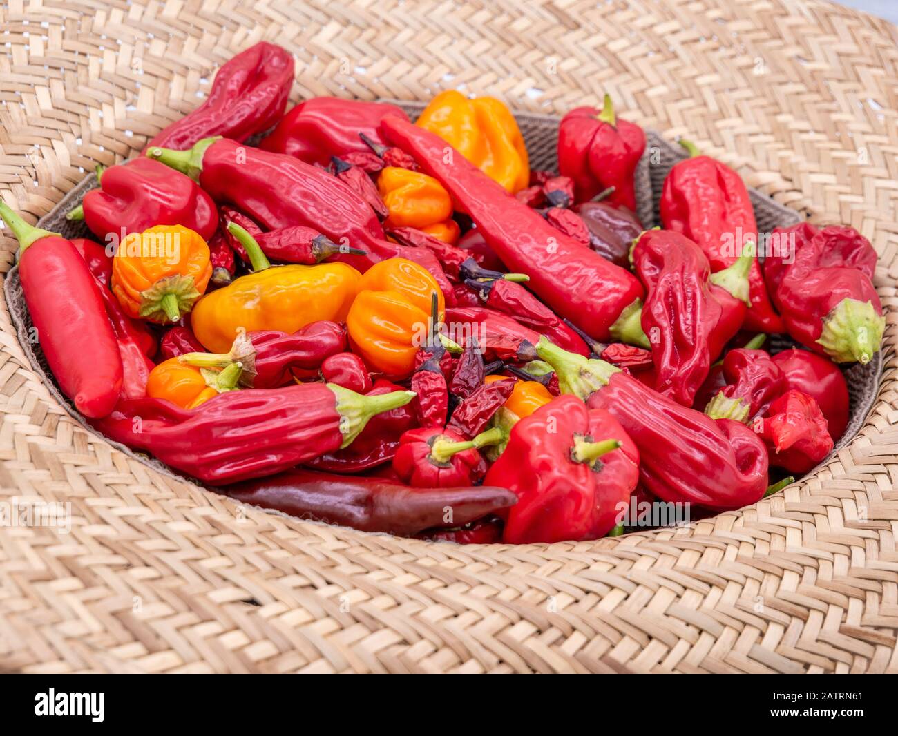 Colorful mix of chili peppers in big sun hat Stock Photo - Alamy