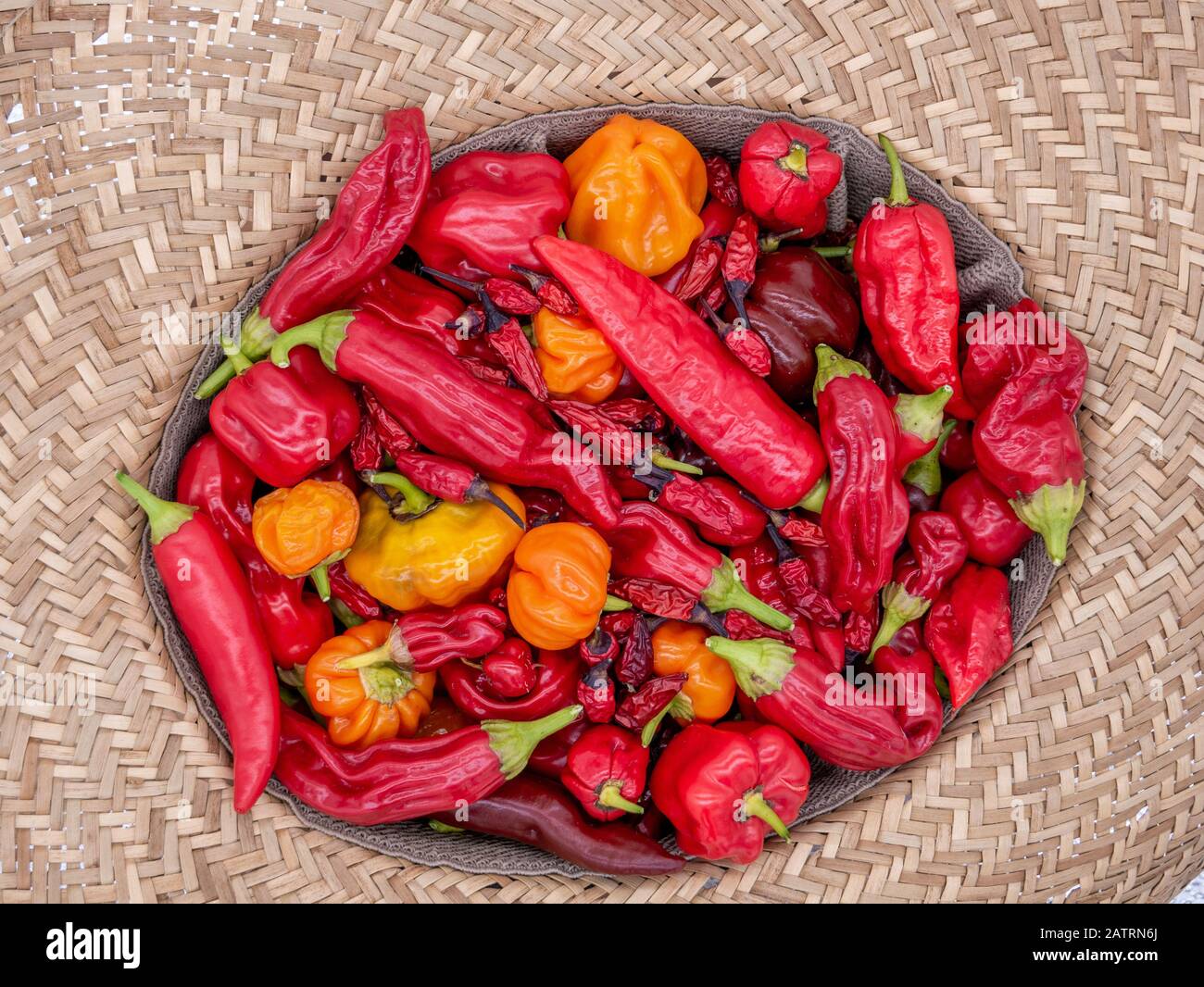 Colorful mix of chili peppers in big sun hat Stock Photo - Alamy