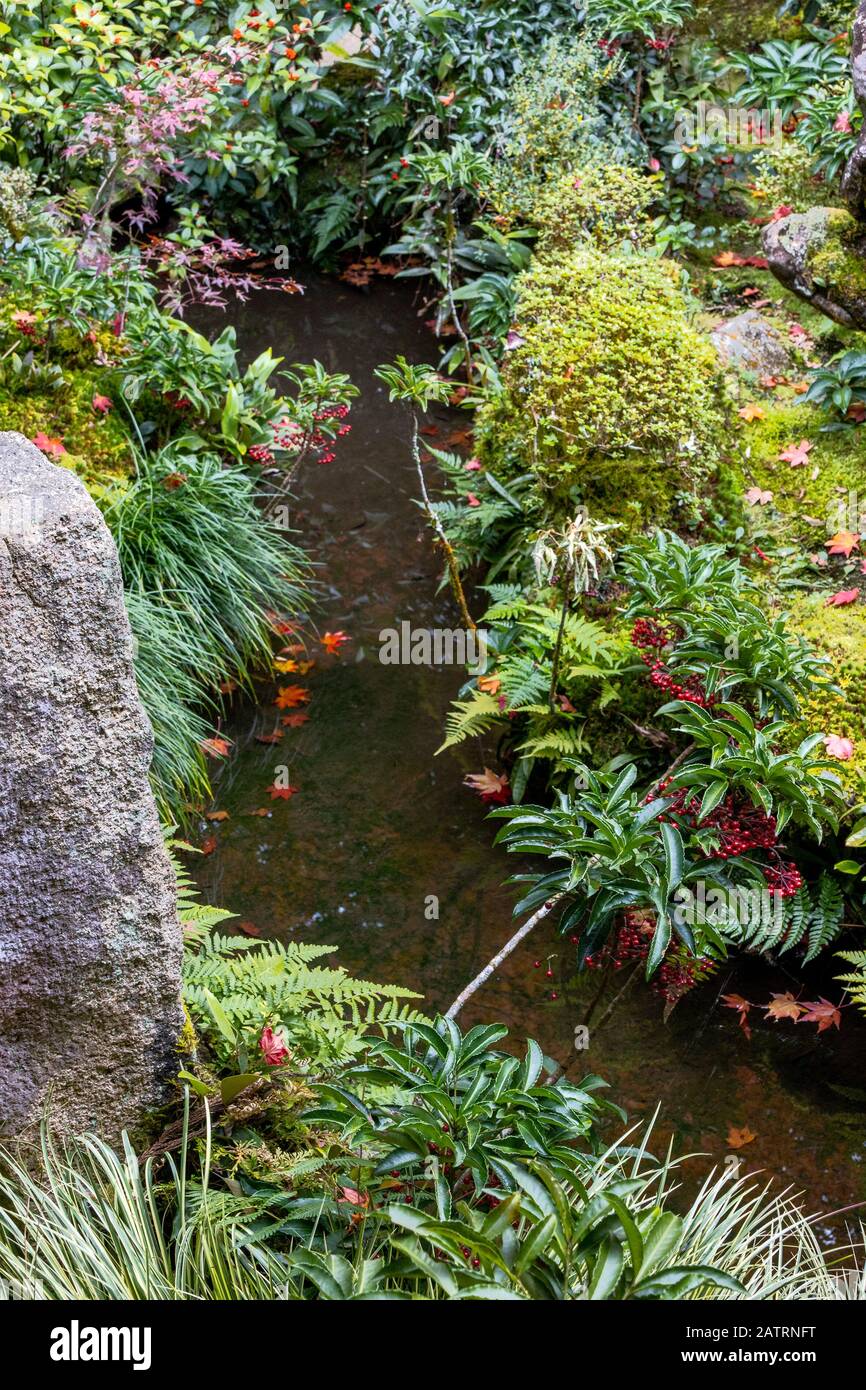 Japan kyoto zen temple hi-res stock photography and images - Alamy