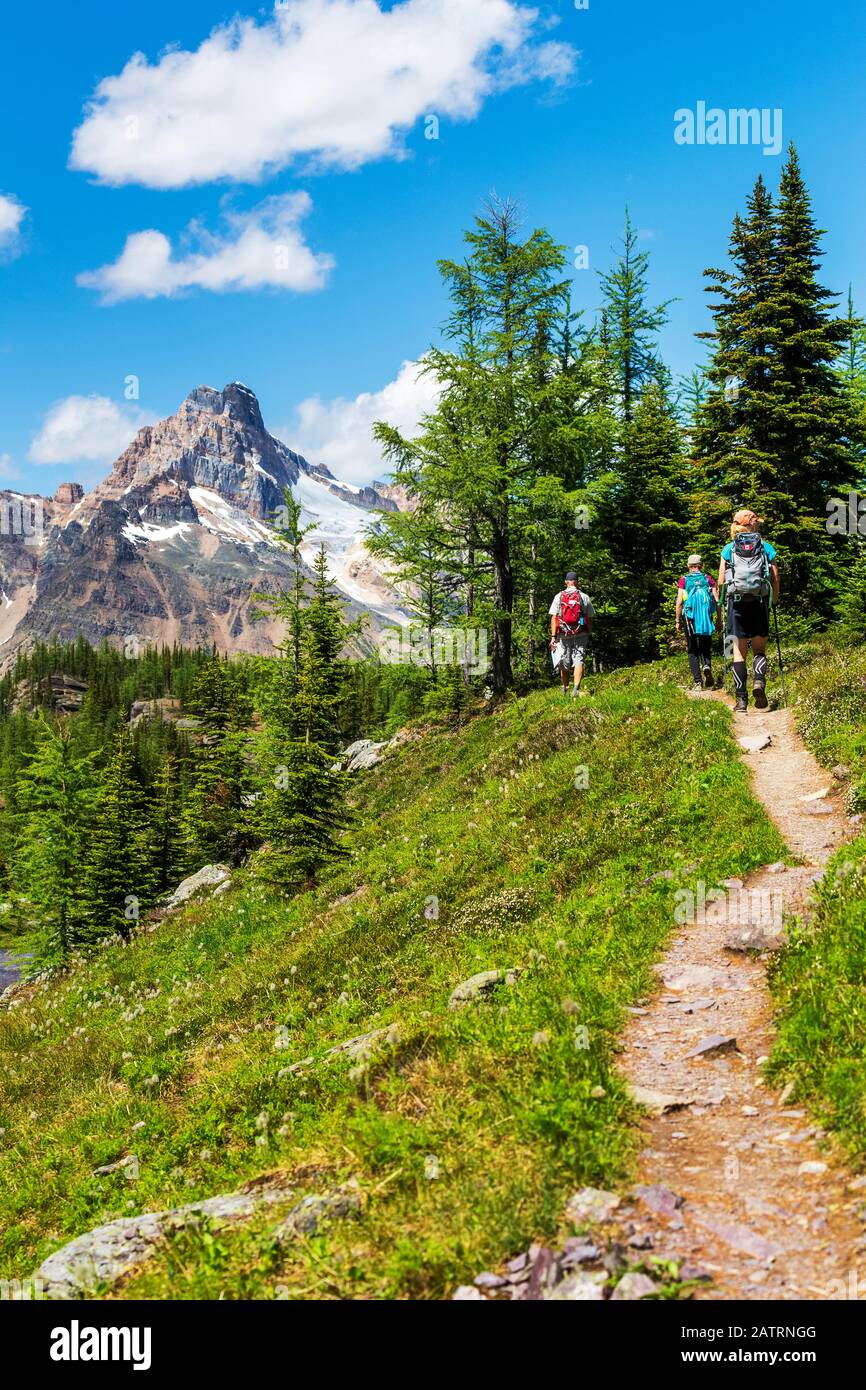 Hikers along a hilly mountain trail with mountain peak in the distance ...