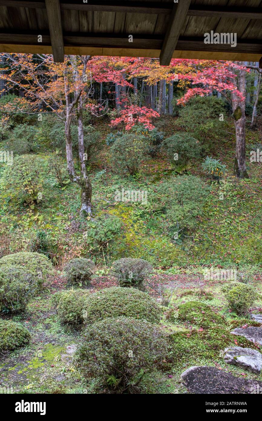 garden, Manshuin Monzeki Tendai temple, Kyoto, Japan Stock Photo - Alamy