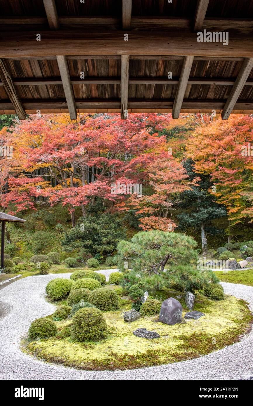 garden, Manshuin Monzeki Tendai temple, Kyoto, Japan Stock Photo - Alamy