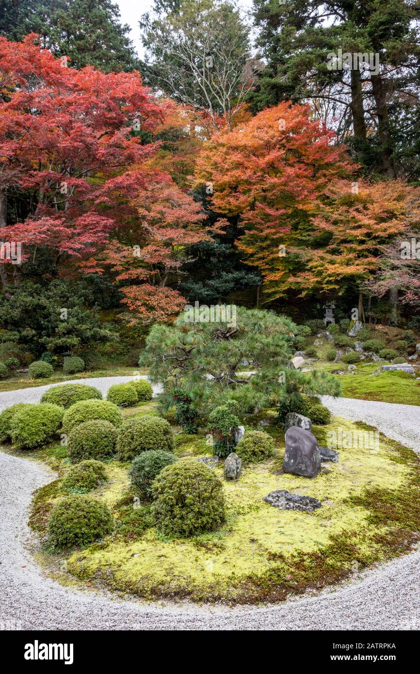 garden, Manshuin Monzeki Tendai temple, Kyoto, Japan Stock Photo - Alamy