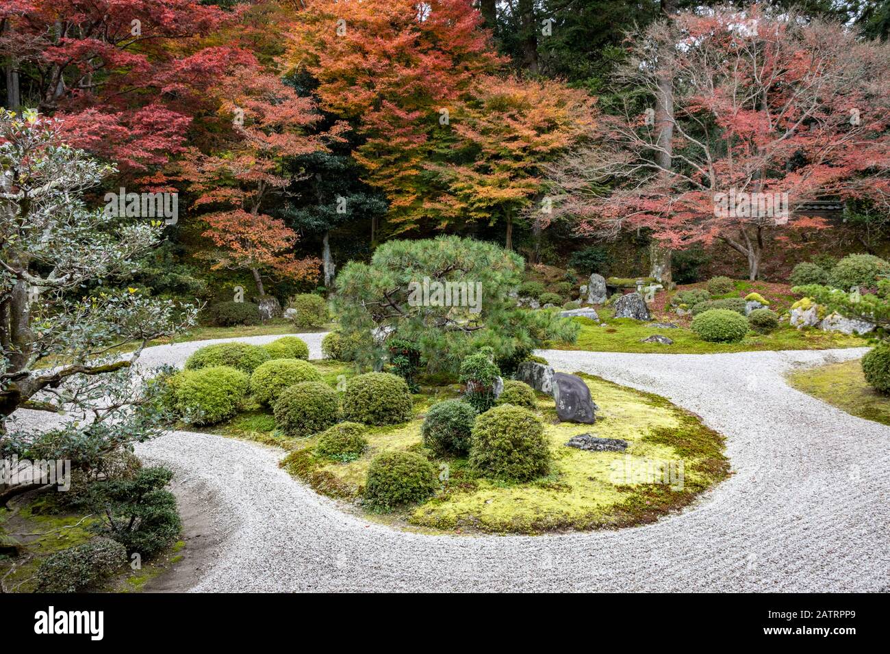 garden, Manshuin Monzeki Tendai temple, Kyoto, Japan Stock Photo - Alamy