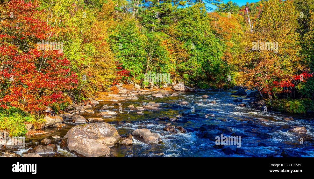 Vibrant autumn coloured foliage in a forest along a tranquil river ...