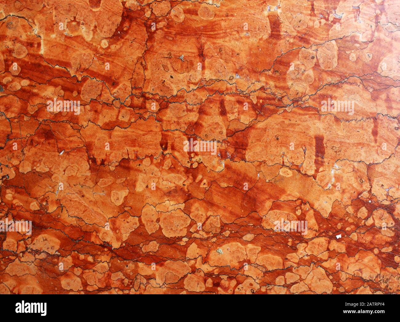 Rosso ammonitico hi-res stock photography and images - Alamy