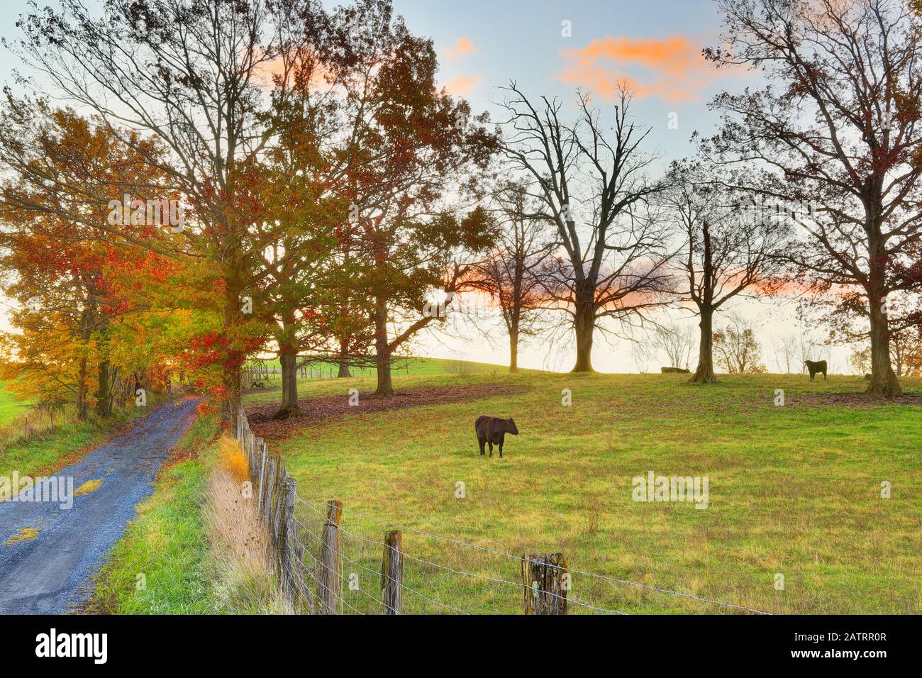 Country Road in Swoope, Shenandoah, Valley, Virginia, USA Stock Photo ...