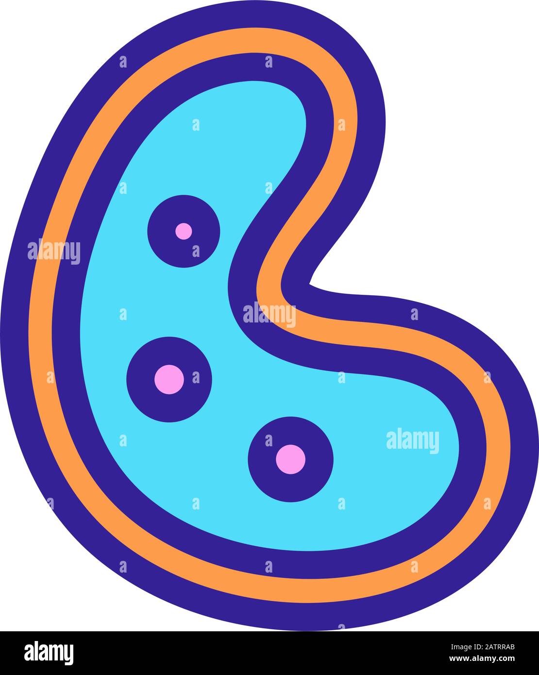 Pilus bacterium hi-res stock photography and images - Alamy