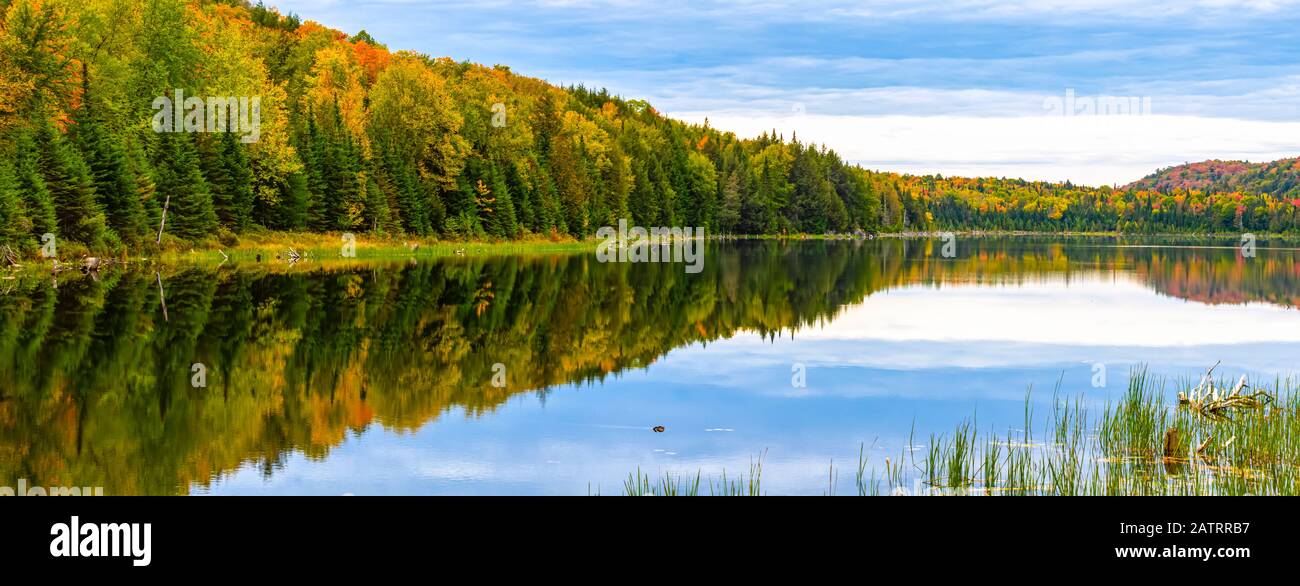 Vibrant autumn coloured foliage in a forest reflected in a tranquil ...