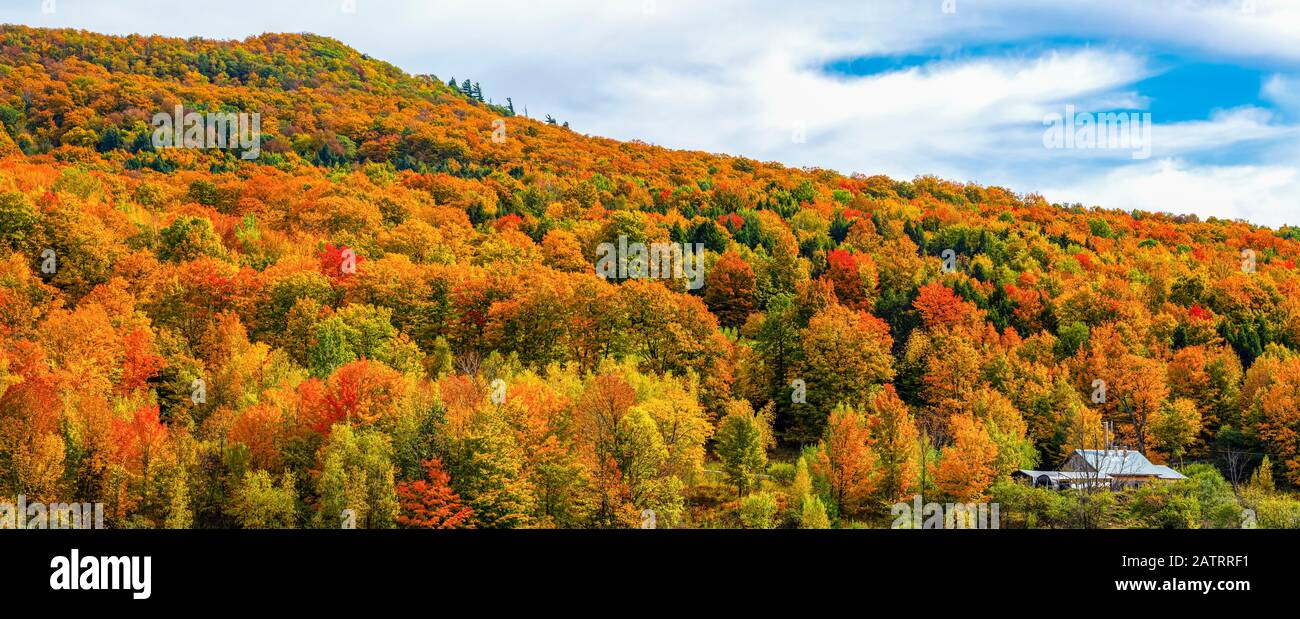 Hidden colours hi-res stock photography and images - Alamy