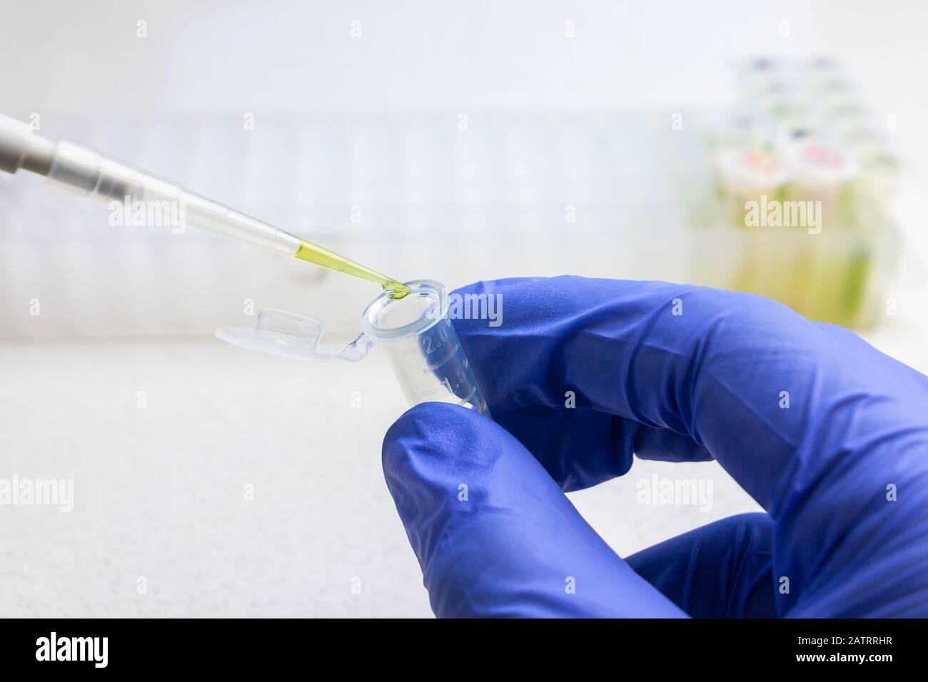 Clinical laboratory in process of chemical analysis. Collection of ...
