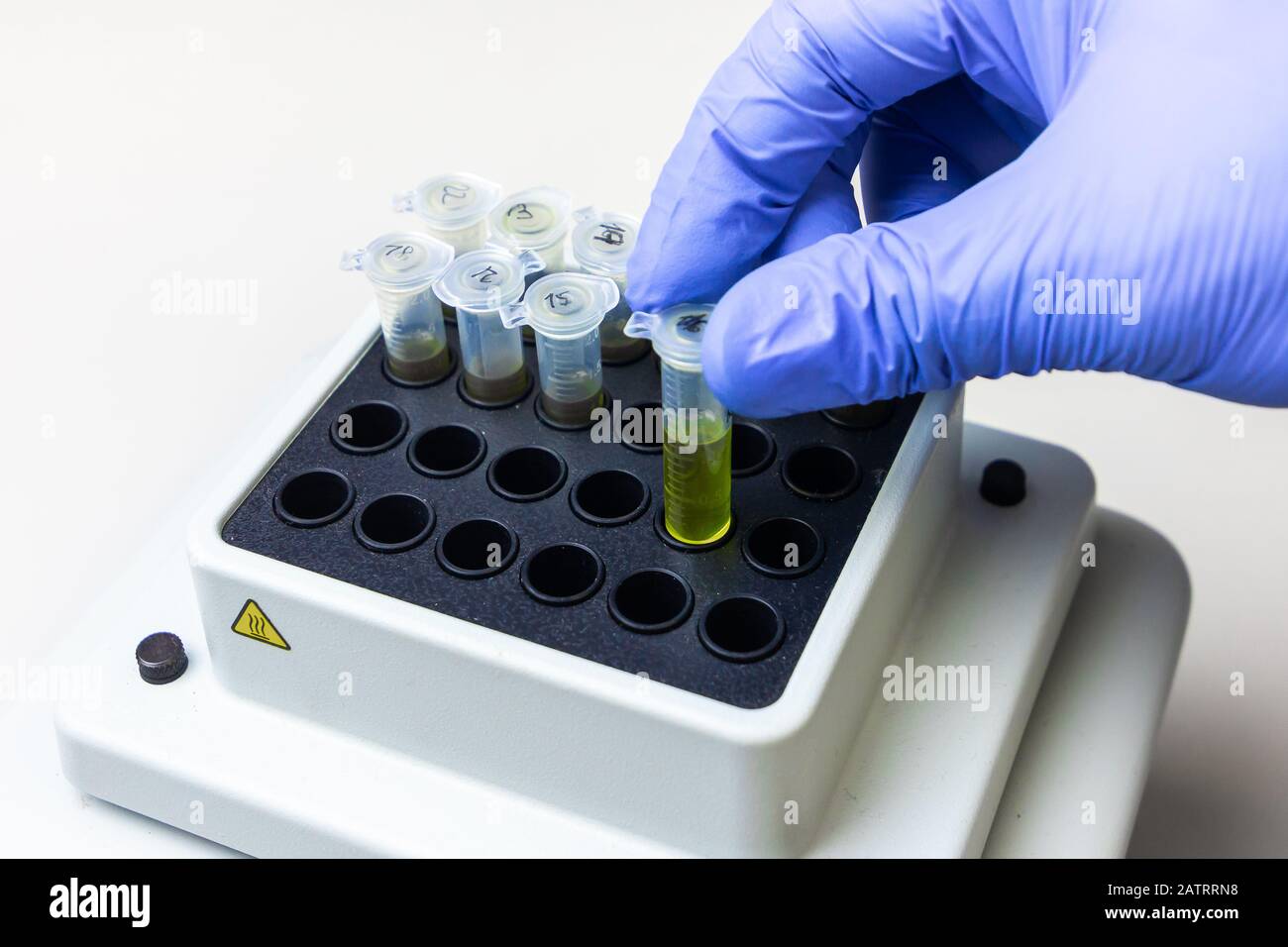 Green substance in microtube is put in thermo shaker. DNA experiment in ...